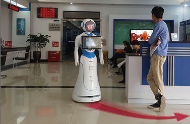 Alice Robot - IRIS Robotics | irisrobotics.ro